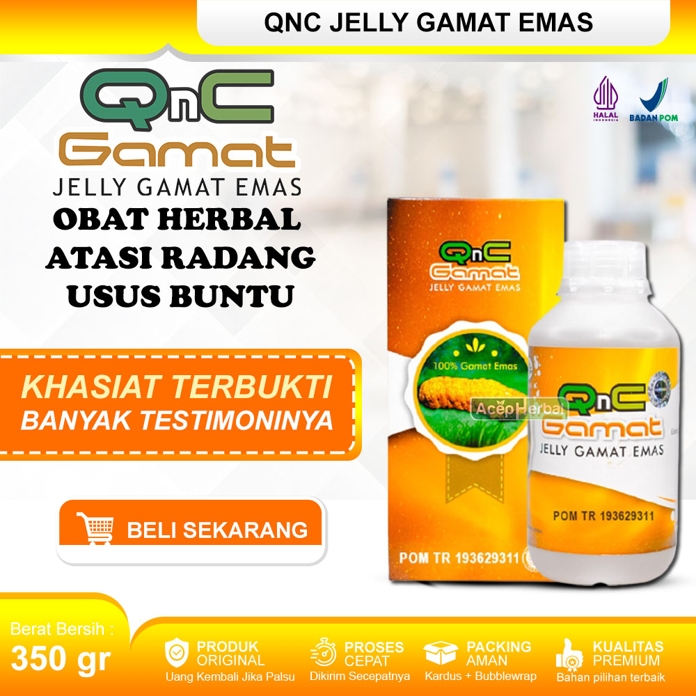 Jual Obat Radang Usus Buntu Obat Gangguan Pencernaan Obat Penyumbatan ...