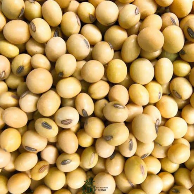 Jual Kacang Kedelai Import 500gr(Grade.A) | Shopee Indonesia