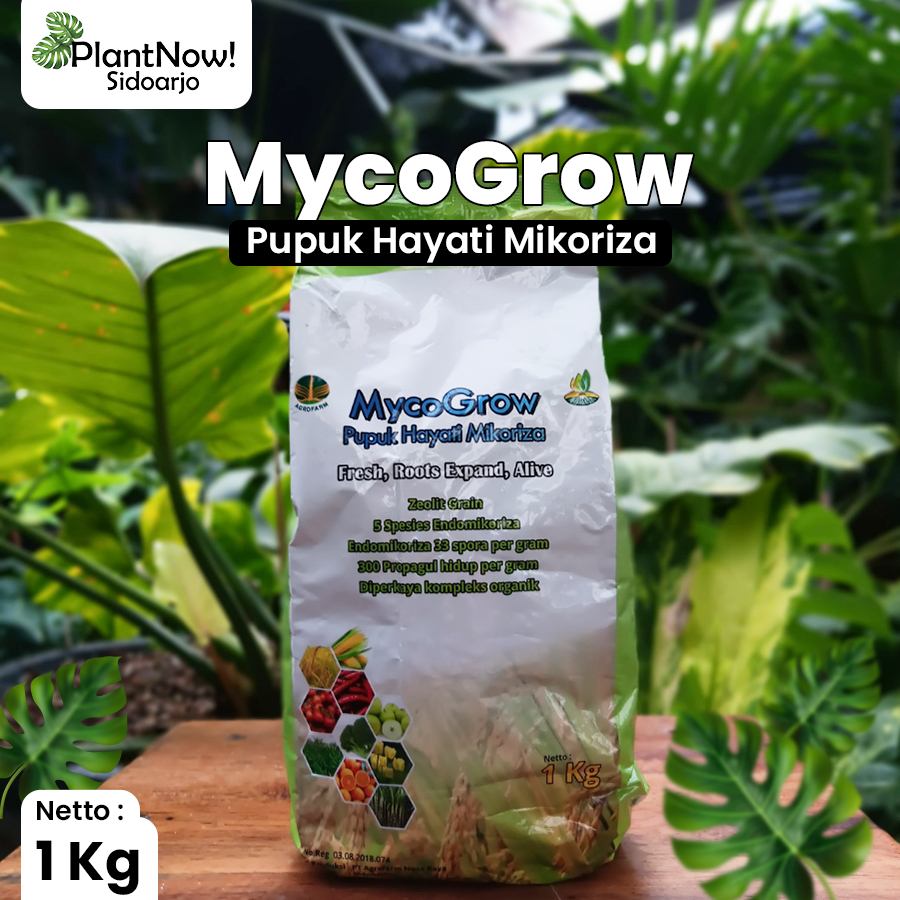 Jual Pupuk Hayati Mikoriza MycoGrow - 1 kg | Shopee Indonesia