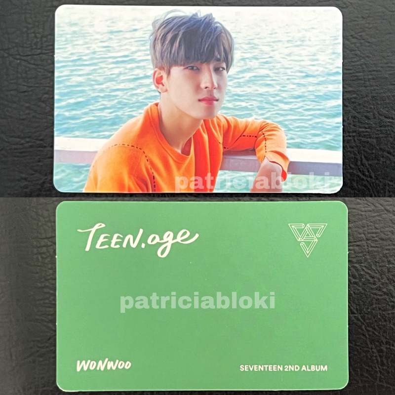 Jual BUNDLE Photocard Wonwoo Seventeen Pc Album Teen Age Green Ver TA ...