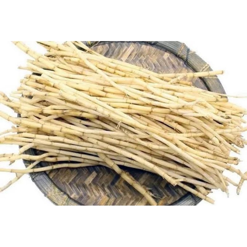 Jual Alang Alang Segar / Akar Alang Alang 1kg | Shopee Indonesia