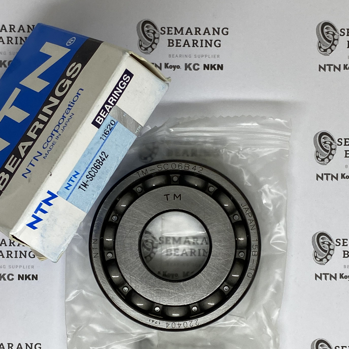 Jual BEARING TMSC06B42 NTN TMSC06 NTN JAPAN LAHER KRUK AS TIGER MEGA PRO GL PRO NEO | Shopee ...
