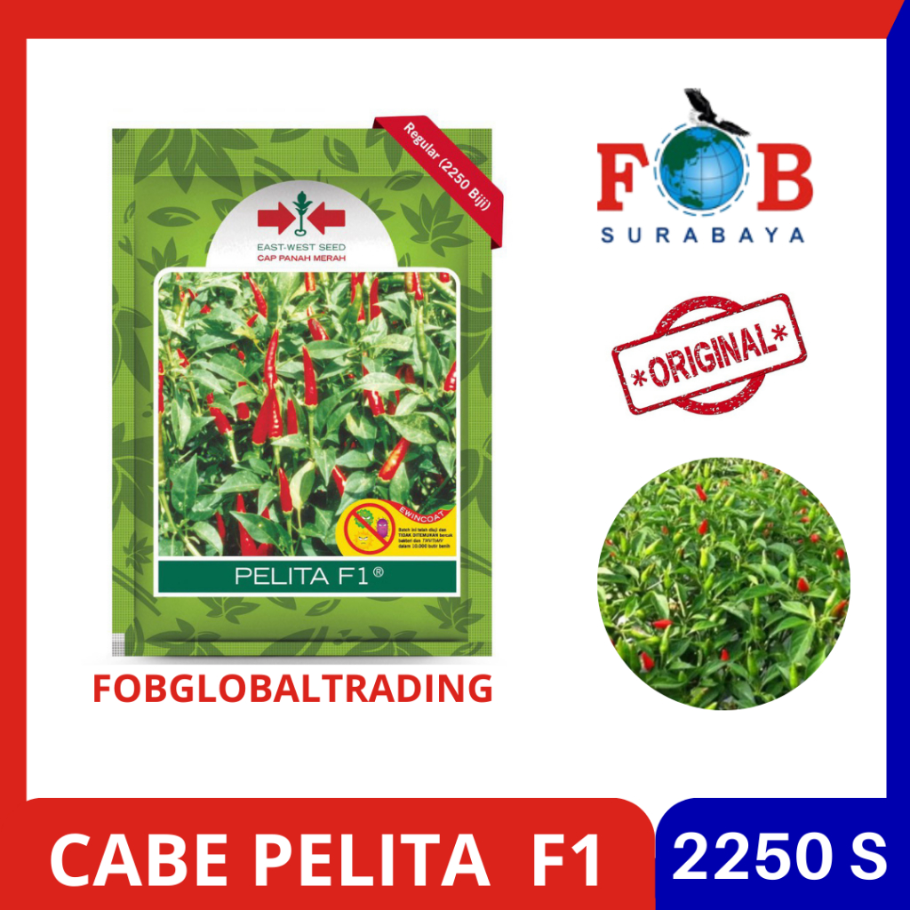 Jual BENIH CABE PELITA F1 2250 BUTIR MEREK PANAH MERAH | Shopee Indonesia