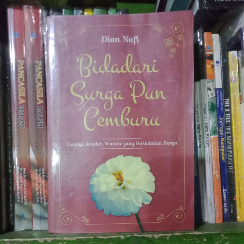 Jual Bidadari Surga Pun Cemburu Amalan Amalan Wanita Yang Dirindukan