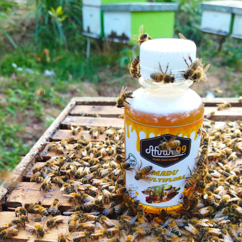 Jual Madu Murni Afifah 99 Nektar Bunga Multiflora 200gr (150 ml) Madu ...