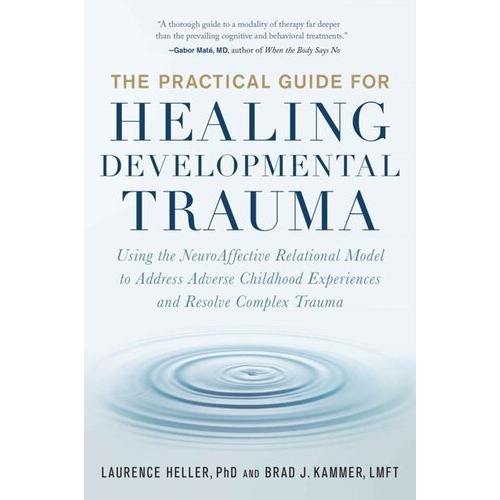Jual Buku The Practical Guide for Healing Developmental Trauma | Shopee ...