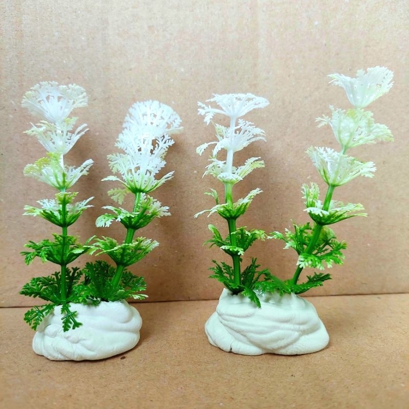 Jual Hiasan aquarium bunga frozen white | Shopee Indonesia