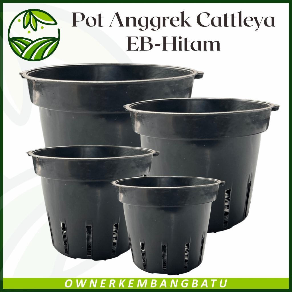 Jual Pot Anggrek Cattleya EB Warna Hitam Pot Plastik Murah Berbagai ...