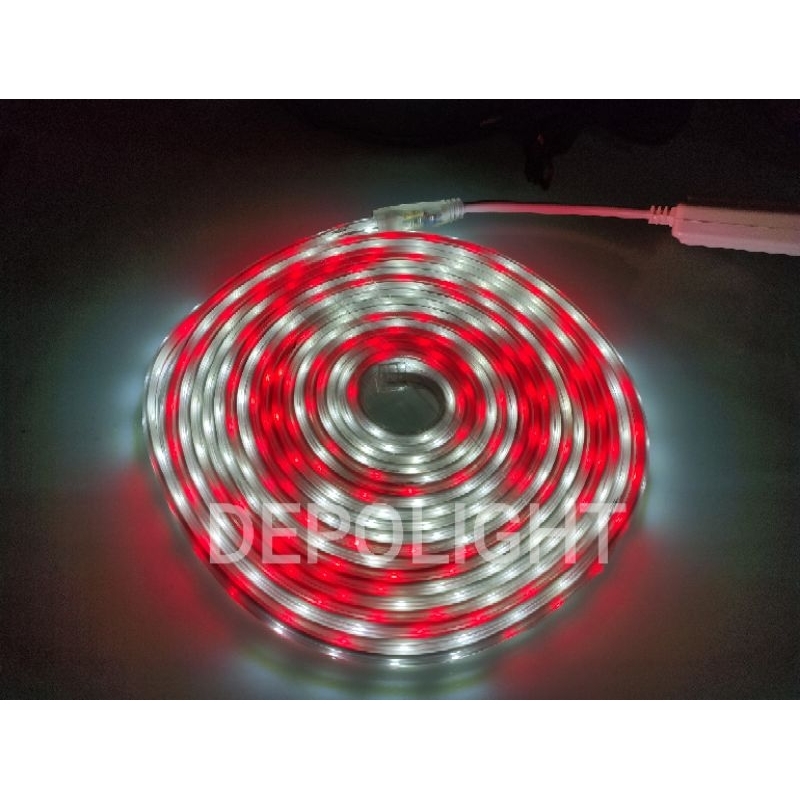 Jual Lampu Strip Merah Putih LED Selang 10M Paket Lengkap AC 220V Lampu ...