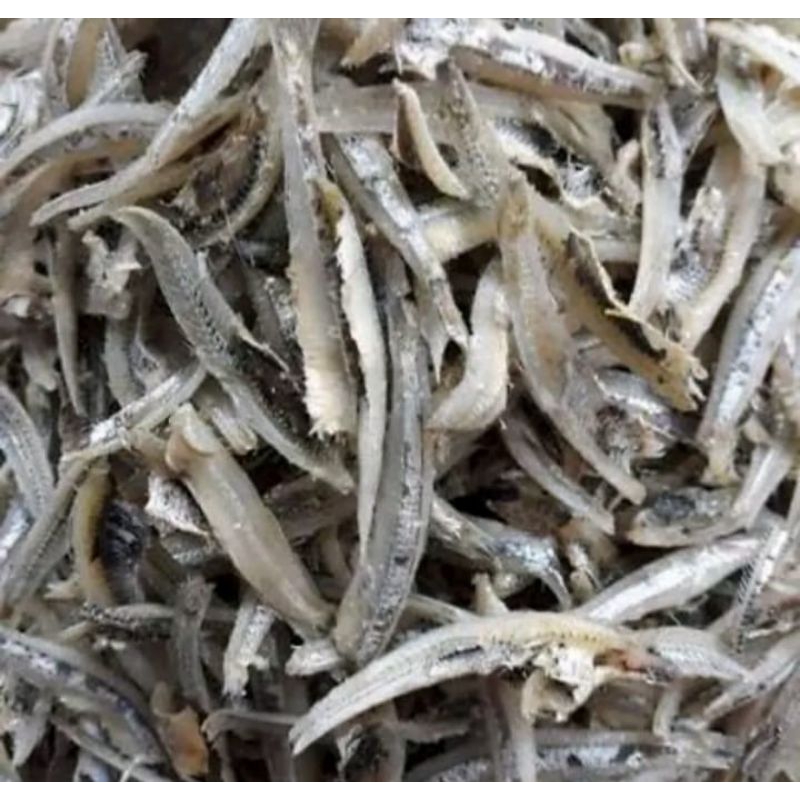 Jual Teri Medan Teri Nasi Teri Jengki Teri Daging Teri Tawar Shopee