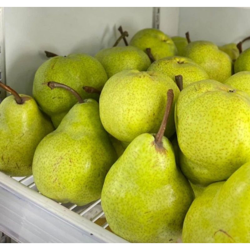 Jual PEAR PACKAM PIR JAMBU | Shopee Indonesia