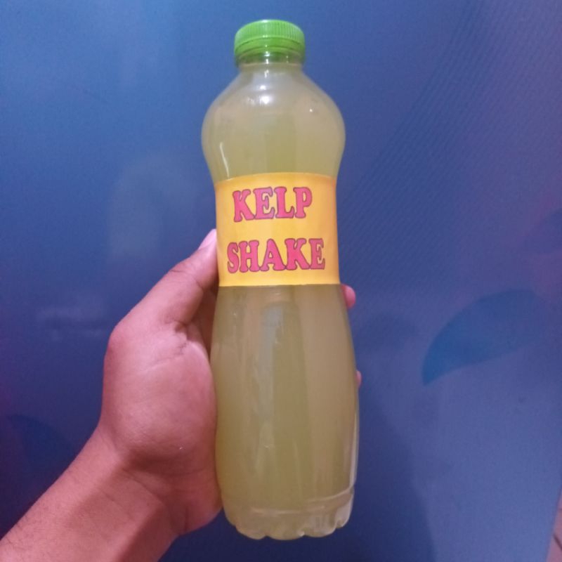 Jual Resep Kelp shake spongebob | Shopee Indonesia