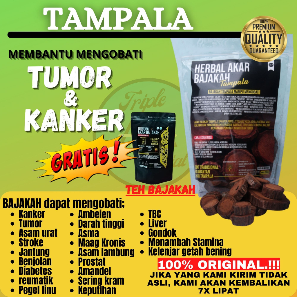 Jual Kayu Bajakah Asli Kalimantan Akar Bajakah Tampala Kalalawit Akar ... Jual Kayu Bajakah Asli Kalimantan Akar Bajakah Tampala Kalalawit Akar ...
