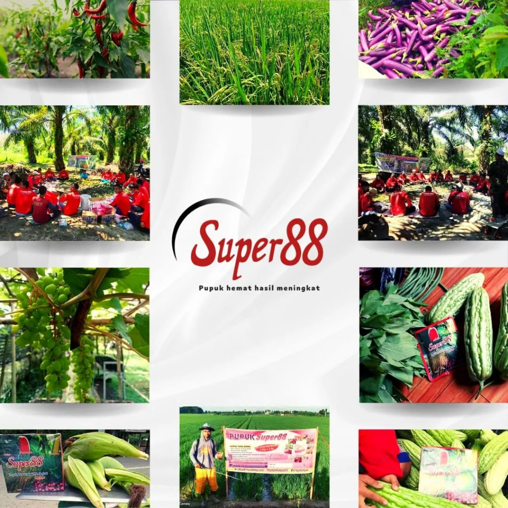 Jual Pupuk NPK SUPER 88 1kg original | Shopee Indonesia