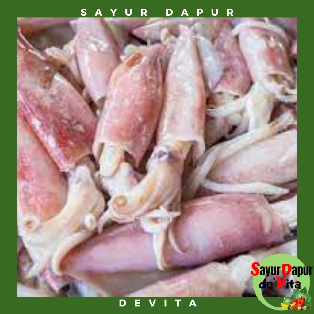 Jual Cumi-Cumi Segar 250gr, 500gr | Shopee Indonesia