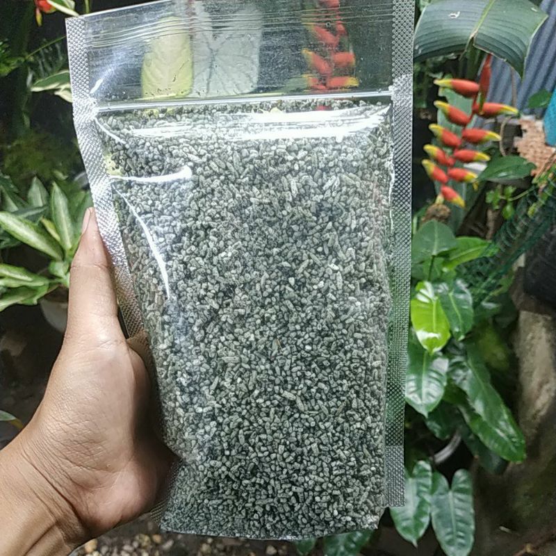 Jual Jamur Trichoderma F1 media beras 500 gram | Shopee Indonesia