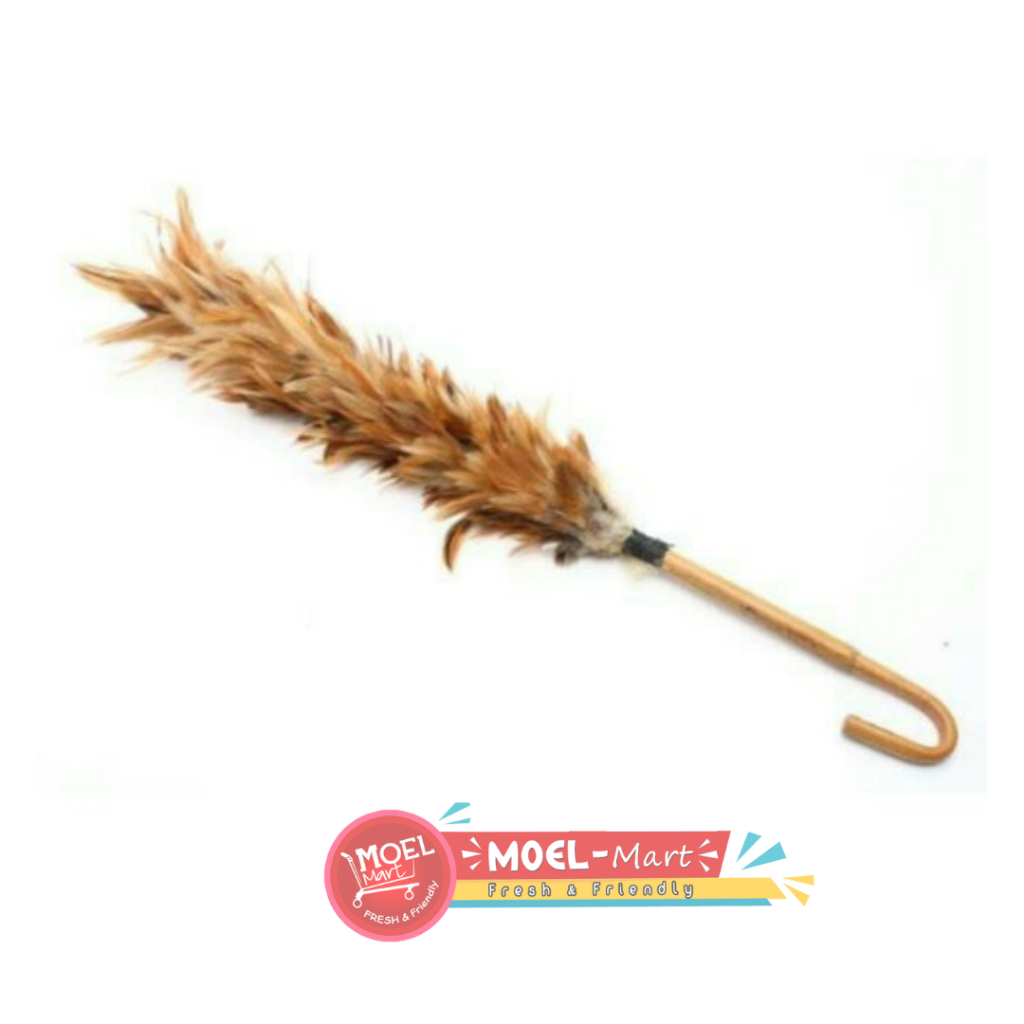 Jual KEMOCENG BULU AYAM 65CM | Shopee Indonesia