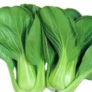 Jual benih Sayur-sayuran (benih sawi pakcoy) | Shopee Indonesia