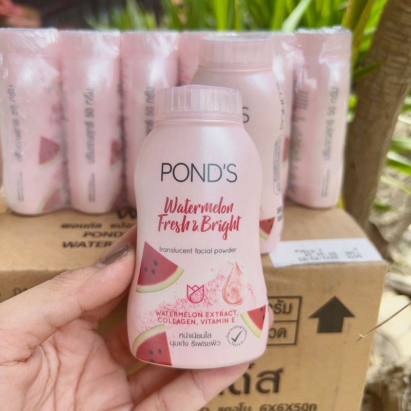 Jual Ponds Watermelon Fresh n Bright Translucent Powder - Thailand ...