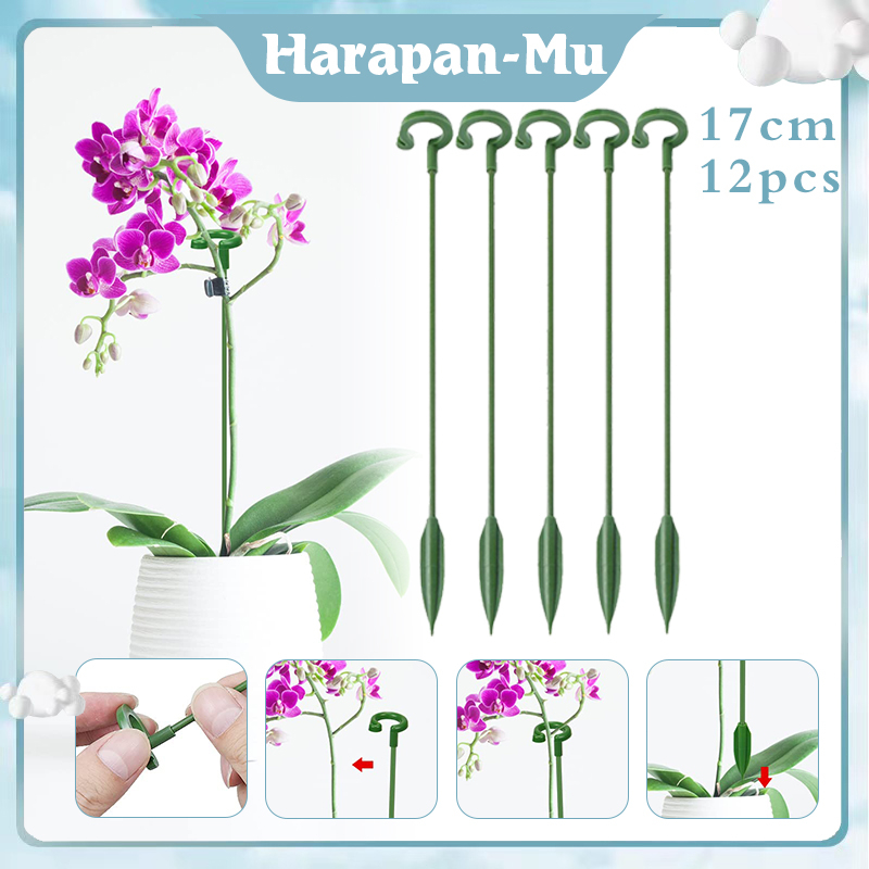 Jual Penyangga Tanaman 12pcs Penyangga Bunga Anggrek 17cm Tiang ...