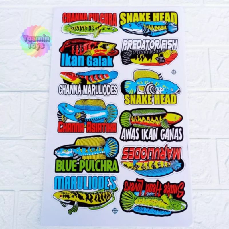 Jual Stiker Aquarium Channa Lovers/Stiker ikan | Shopee Indonesia