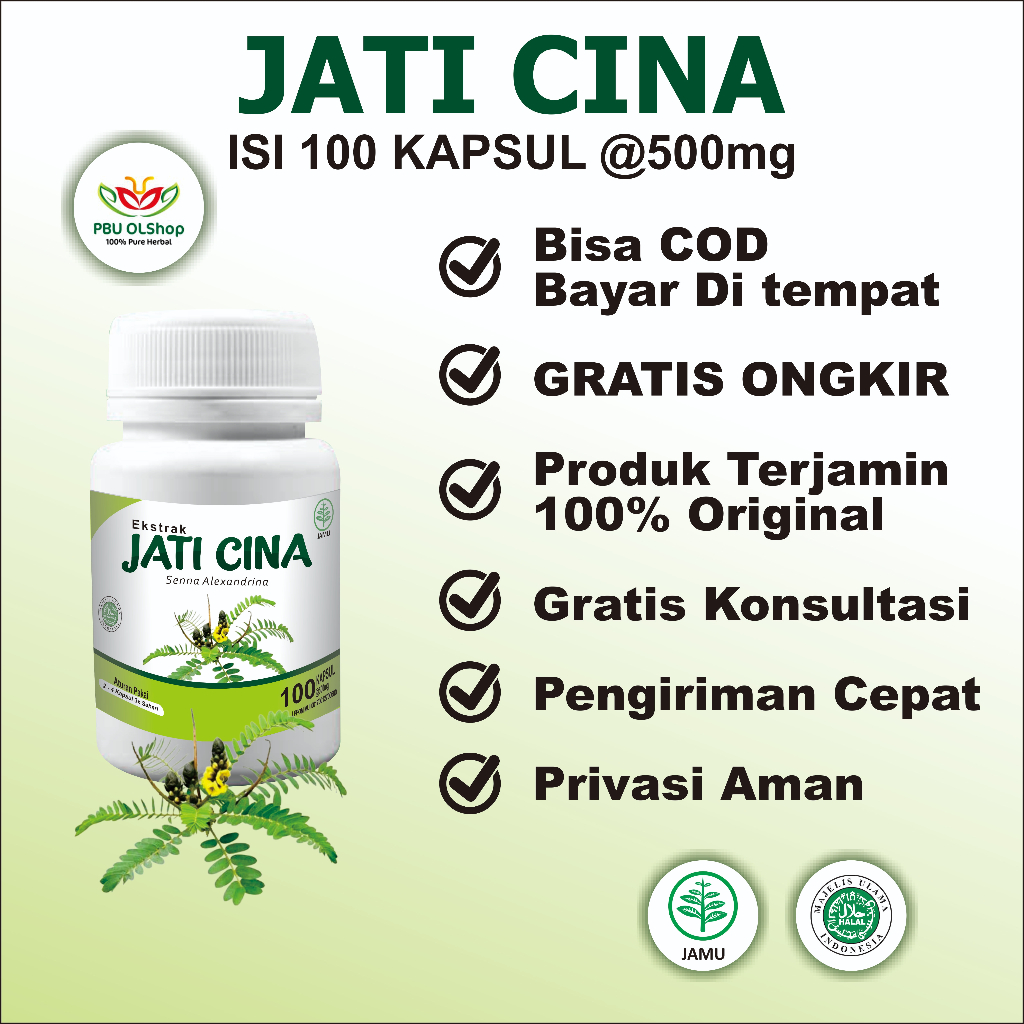 Jual Kapsul Ekstrak Daun JATI CINA Original (isi : 100) Jamu Herbal ...