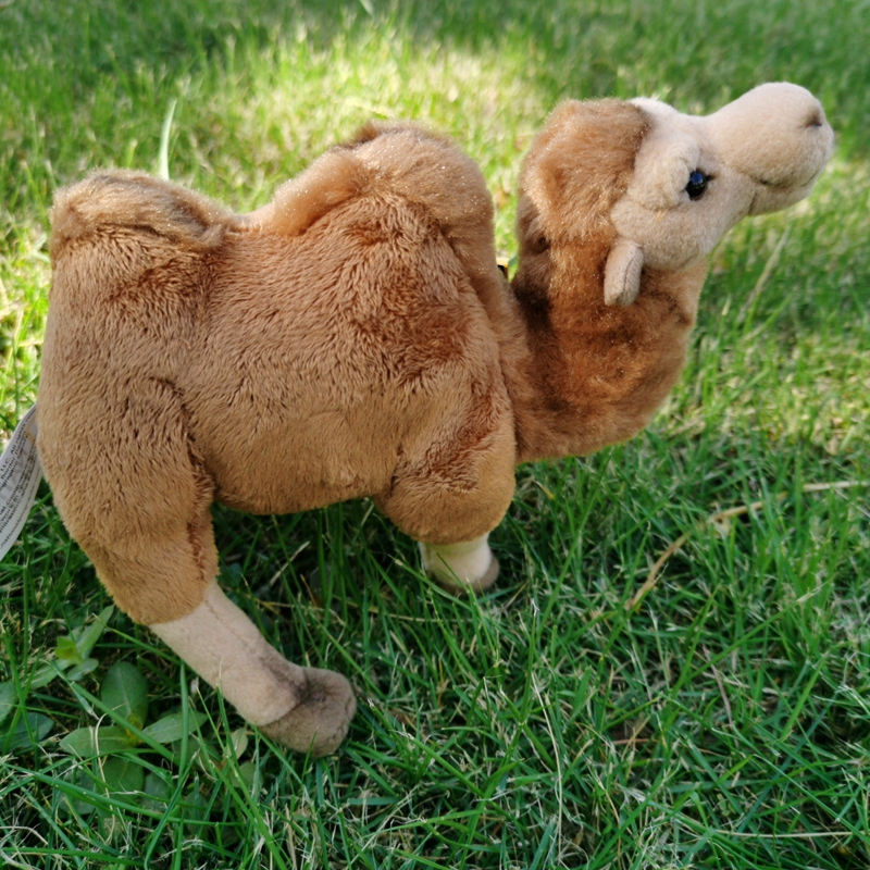 Jual Mainan Boneka Unta pasir Terbaru Lucu Seperti Aslinya | Shopee ...