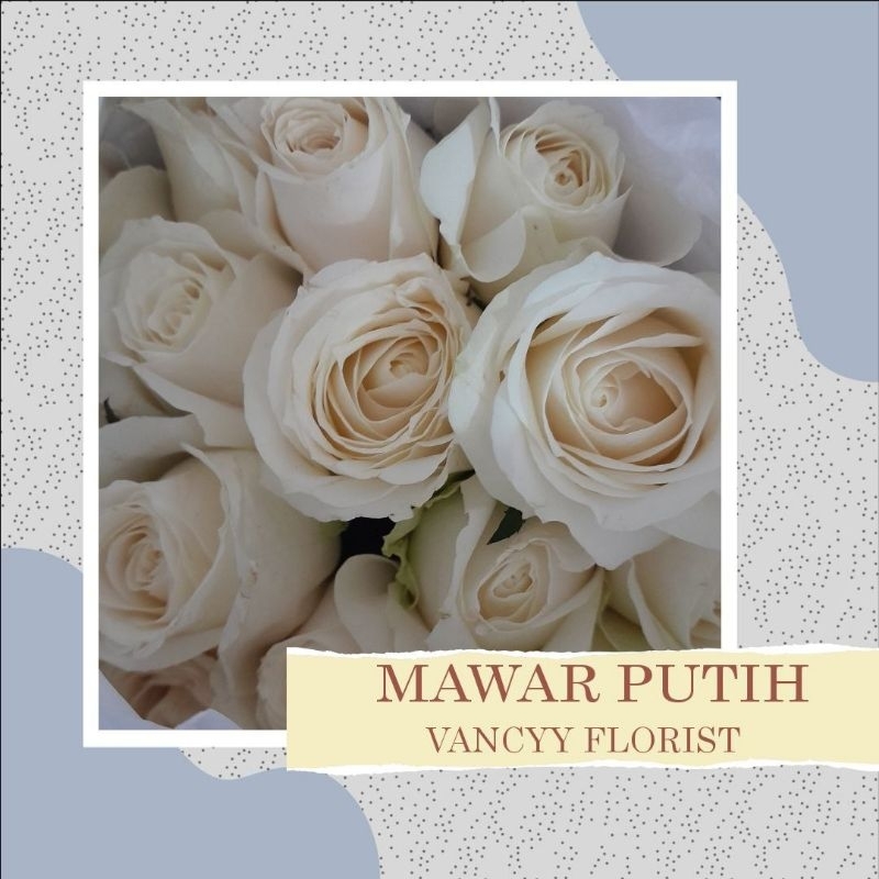 Jual Bunga Mawar Putih Fresh / Bunga Potong Bunga Mawar Segar / Bunga ...