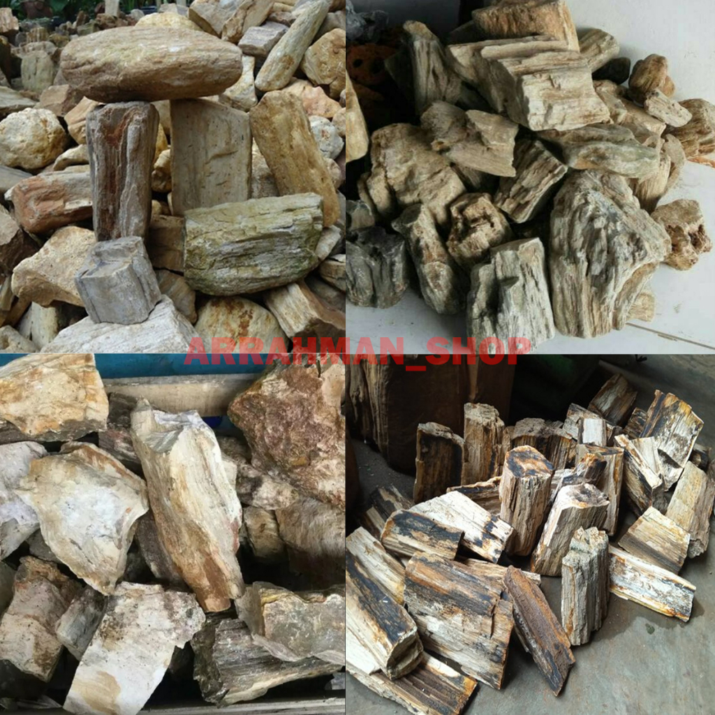 Jual BATU FOSIL- Batu Fosil Kayu Aquascape Aquarium 1kg Hiasan Aquarium ...