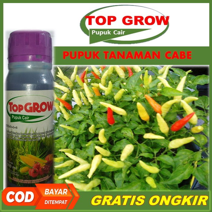 Jual Pupuk Pelebat Buah Cabai 500 Ml | Shopee Indonesia