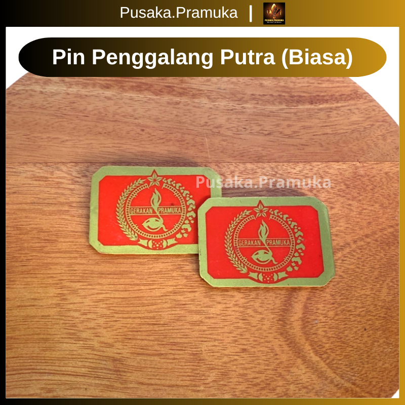 Jual Pin Topi Putra Putri Pramuka Siaga, Penggalang, Penegak / Pin Topi ...