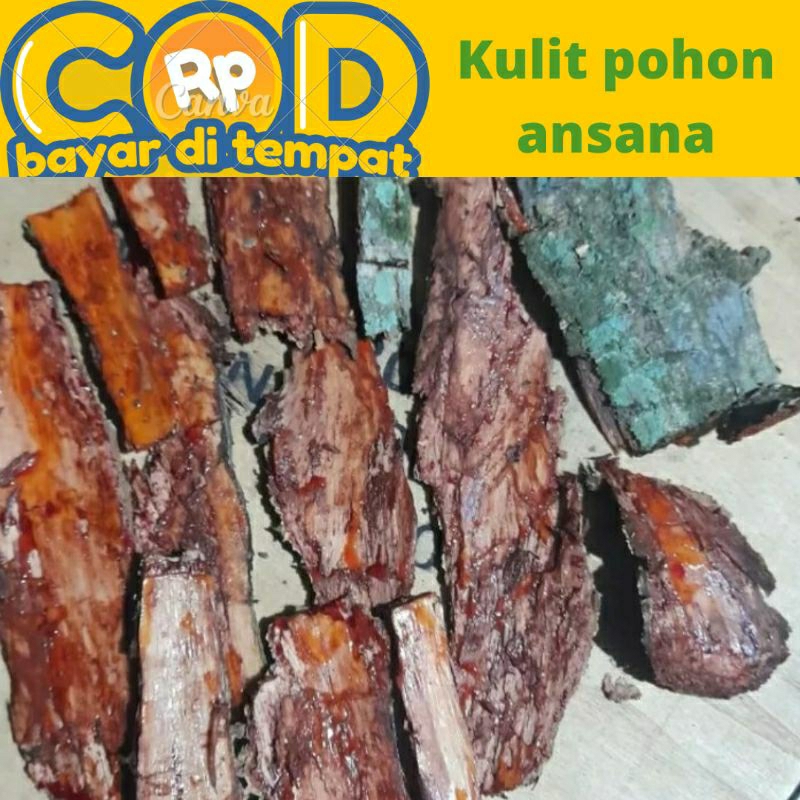 Jual kulit pohon Angsana/Sono diambil saat di pesan 100 gram | Shopee ...