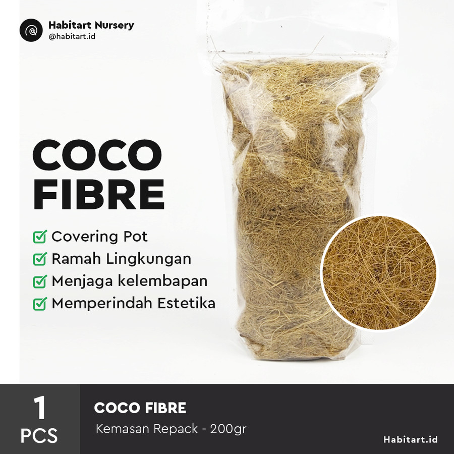 Jual Coco Coir / Coconut Fibre - Pengalas tanaman hias / indoor plant ...