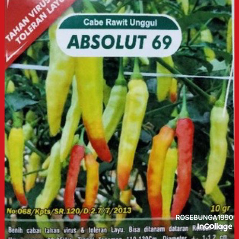 Jual Benih Biji Cabe absolut 69- isi 50 Biji | Shopee Indonesia