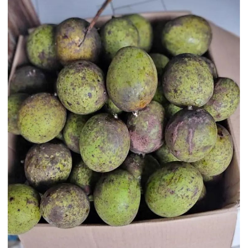 Jual Mangga mbawang | kweni | bacang | Shopee Indonesia