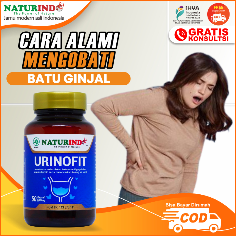 Jual OBAT GINJAL BATU GINJAL KENCING NANAH ISK KENCING SAKIT INFEKSI SALURAN KEMIH URINE HERBAL ...