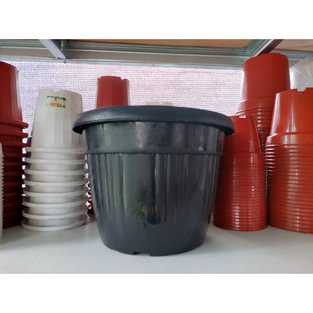 Jual pot teratai diameter 30 hitam kuping | Shopee Indonesia