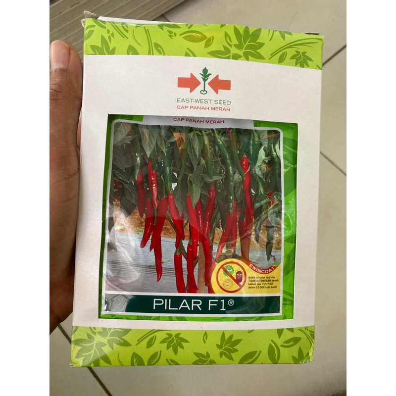 Jual BENIH CABE BESAR PILAR F1 Isi 1.500 Butir - CABAI BESAR HIBRIDA ...