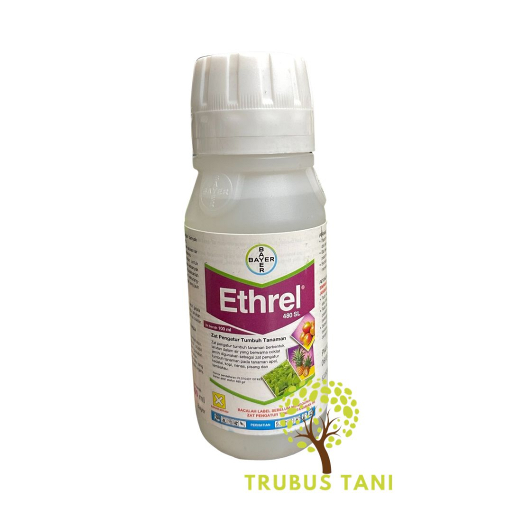 Jual ETHREL 480 SL 100 ML ZPT PEMATANG BUAH NAGA PISANG PEPAYA | Shopee ...
