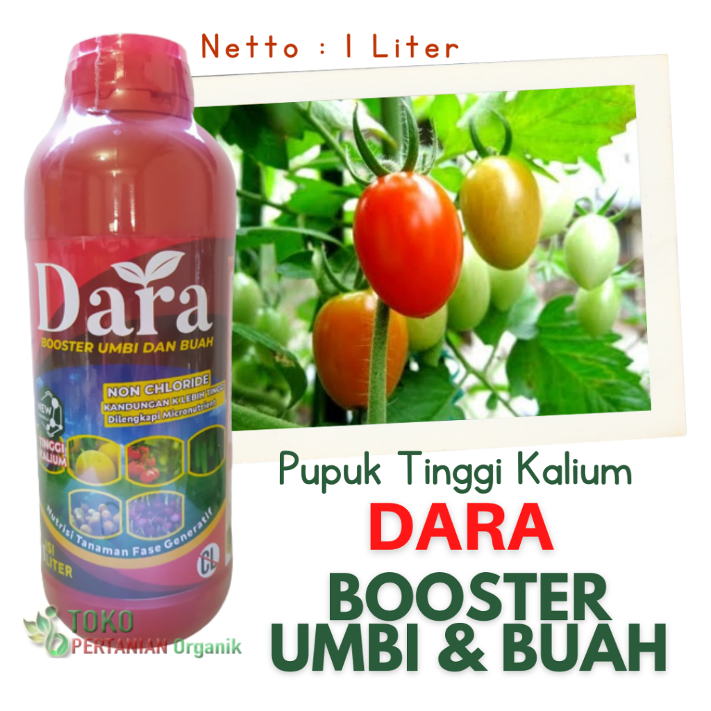 Jual Pupuk DARA perangsang pertumbuhan sempurna perkebunan durian ...