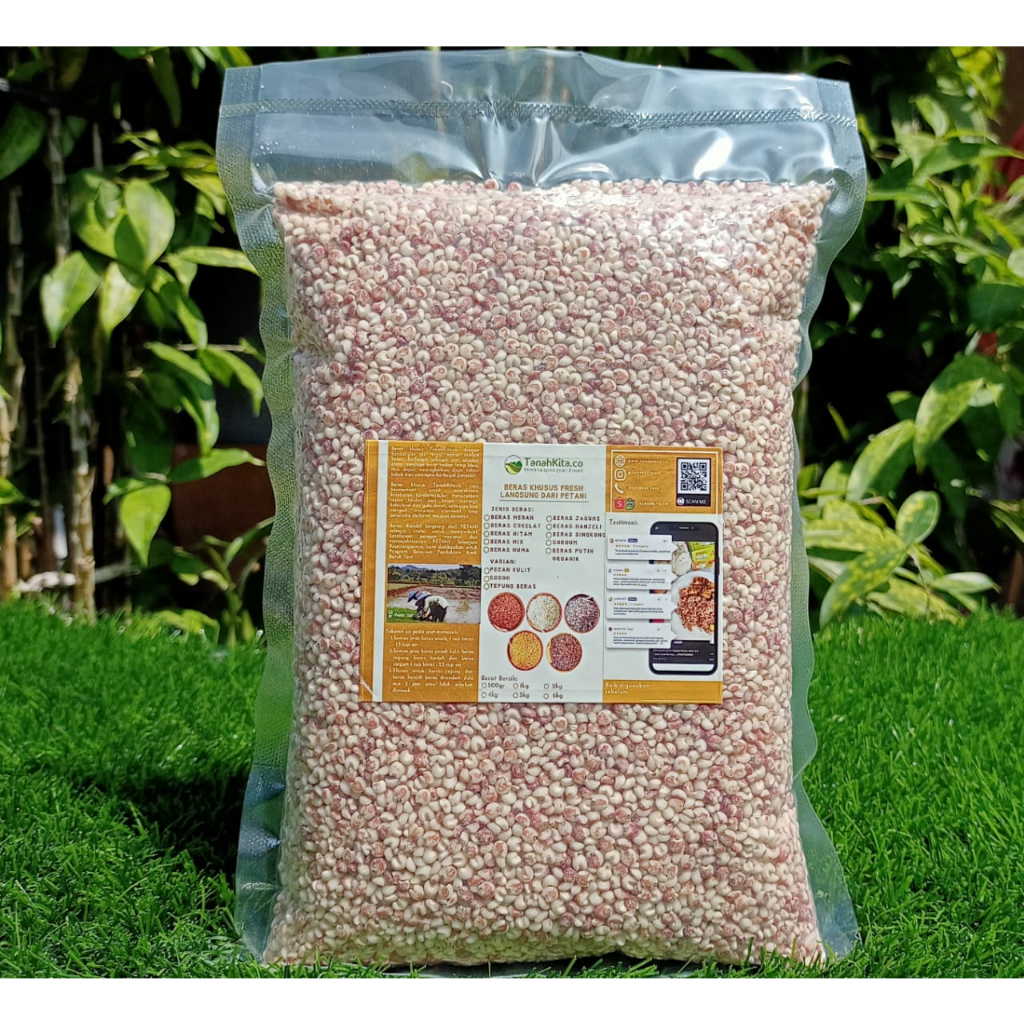 Jual Beras Merah Sorghum Enak dan Pulen, Fresh Langsung dari Petani ...