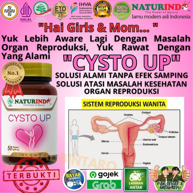 Jual Obat Kista Miom CYSTO UP Naturindo Atasi Sakit Ovarium Kista ...