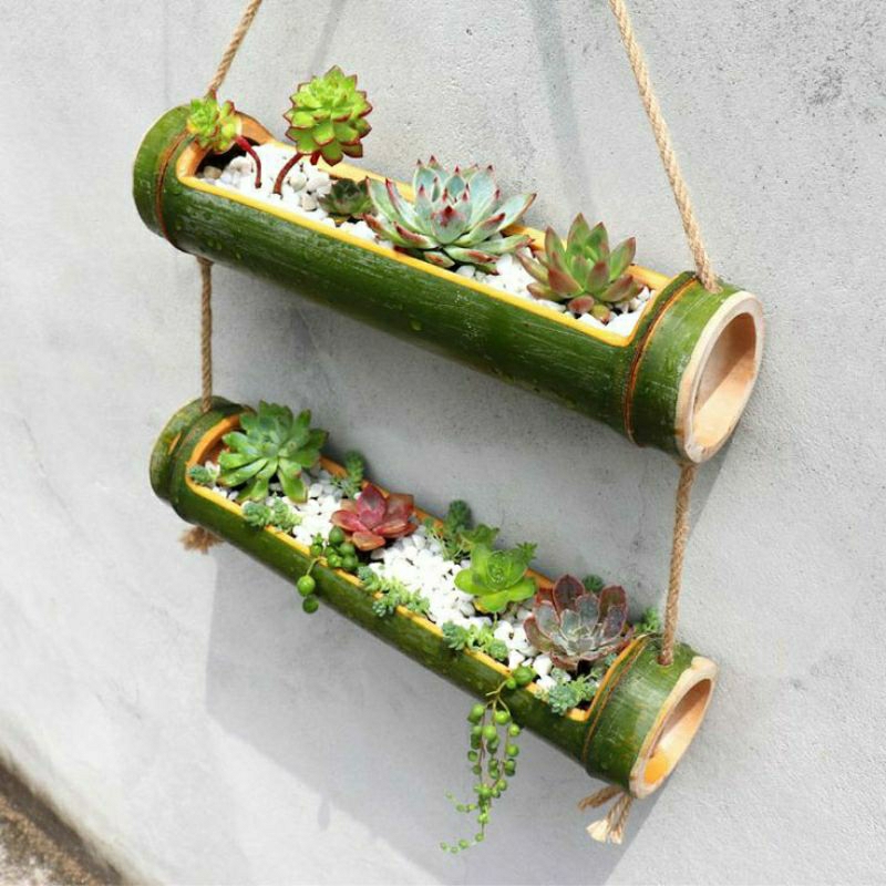 Jual pot bunga bambu 2 ruas bambu ukuran 40cm | Shopee Indonesia