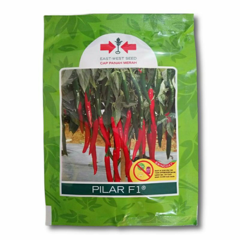 Jual Benih Cabe PILAR F1 - Bibit Cabe Hibrida PILAR Original isi 1.500 ...