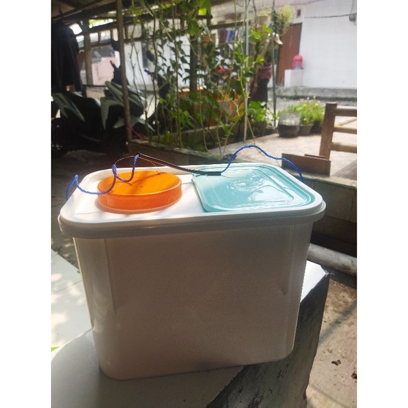 Jual tempat box udang hidup mancing | Shopee Indonesia