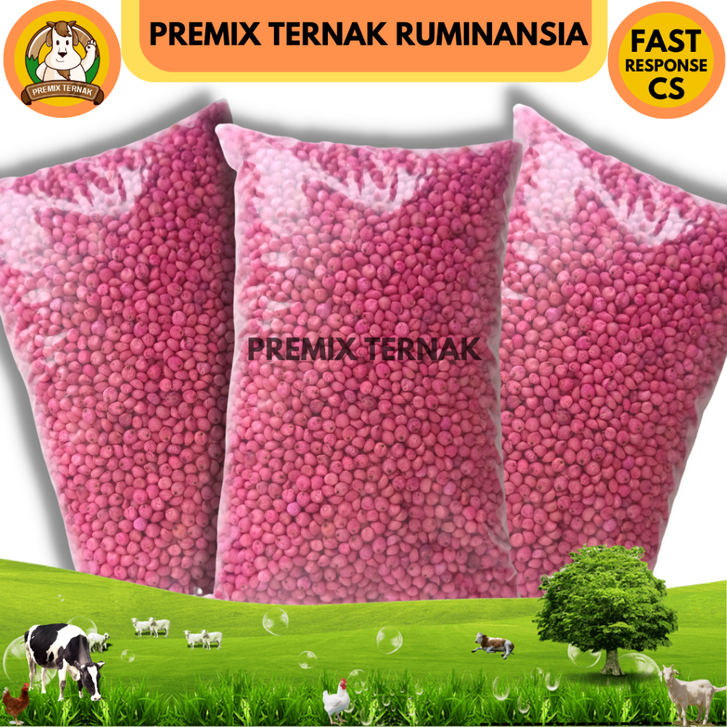 Jual BENIH SORGUM BIOGUMA 2 kemasan 1 kg - Bibit Sorgum 1kg - Bioguma ...