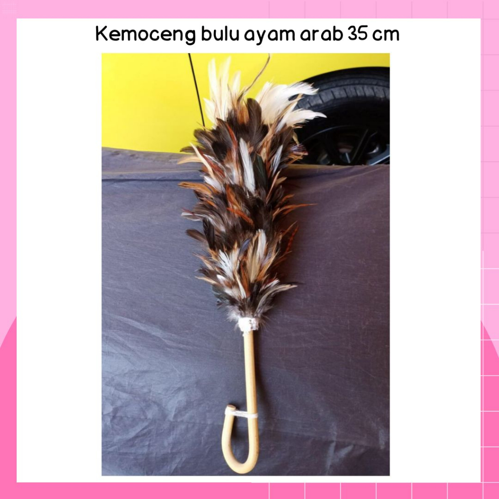 Jual KEMOCENG BULU AYAM KOMBINASI AYAM ARAB GAGANG BENGKOK PANJANG 35 ...