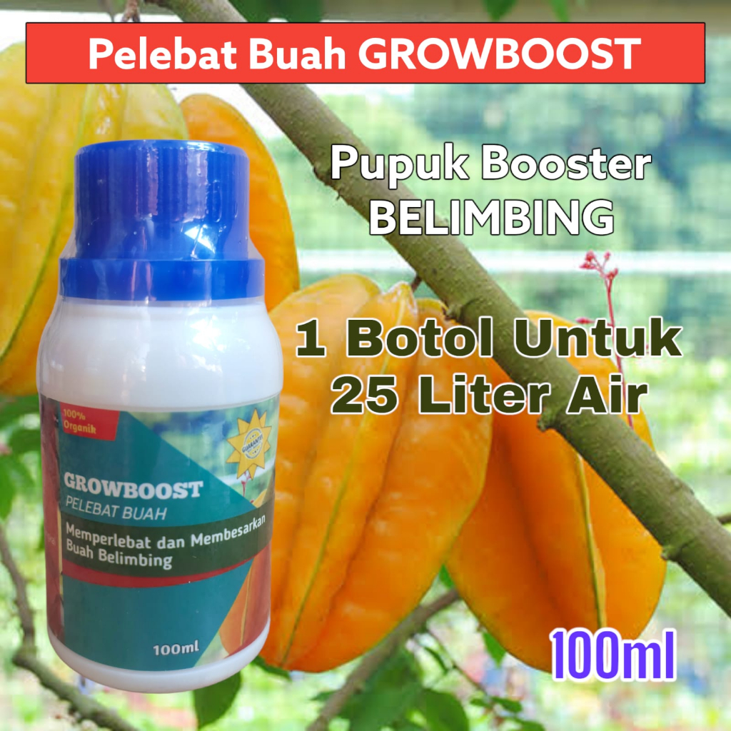 Jual Pupuk Buah Belimbing Premium Organik GrowBoost Buah Belimbing 100ml | Shopee Indonesia