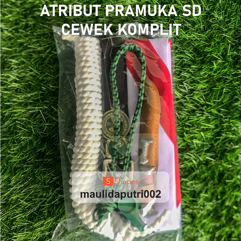 Jual ATRIBUT PRAMUKA SD CEWEK/KOMPLIT (bisa satuan) | Shopee Indonesia