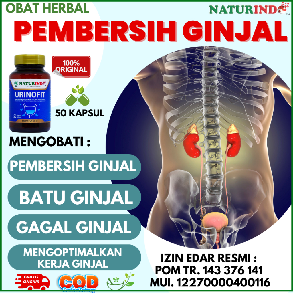 Jual Obat Ginjal Herbal Pembersih Ginjal Dan Saluran Kencing Gagal Ginjal Bocor Urinofit ...